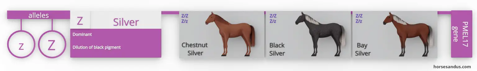 The 3 versions of Silver Horses: Silver black, Silver Bay, Silver Red